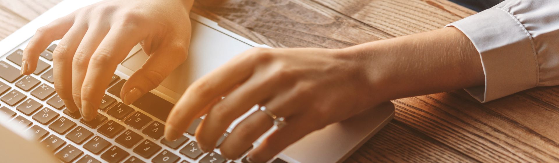 Curso Online de Optimizer | WPS Academia